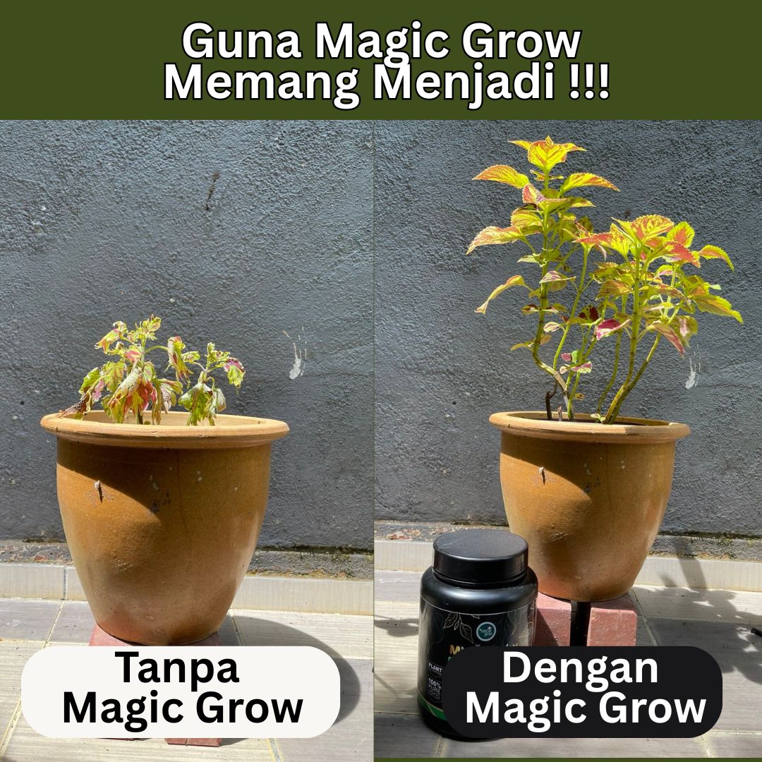 Magic Grow – Nutrien Untuk Tanaman Anda – Mama's Garden